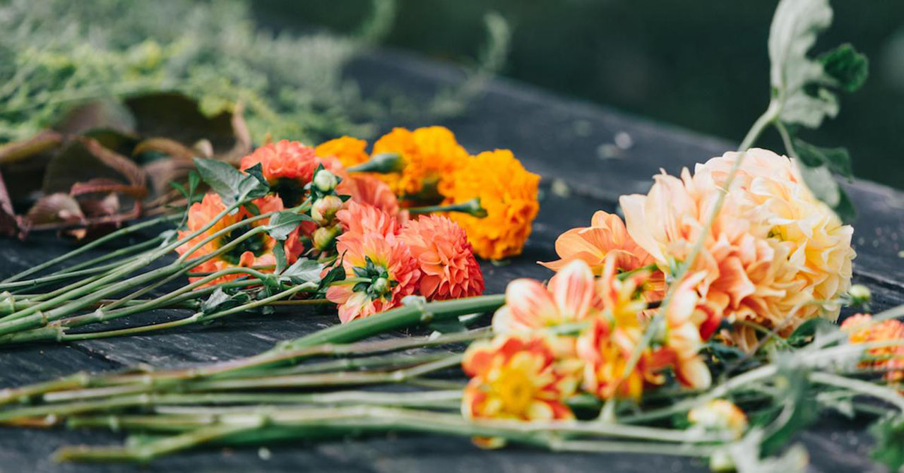 Nhóm hương floral: Khám phá sự quyến rũ của hương hoa cỏ